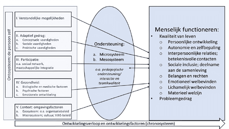 AAIDD-model - Academische Werkplaats